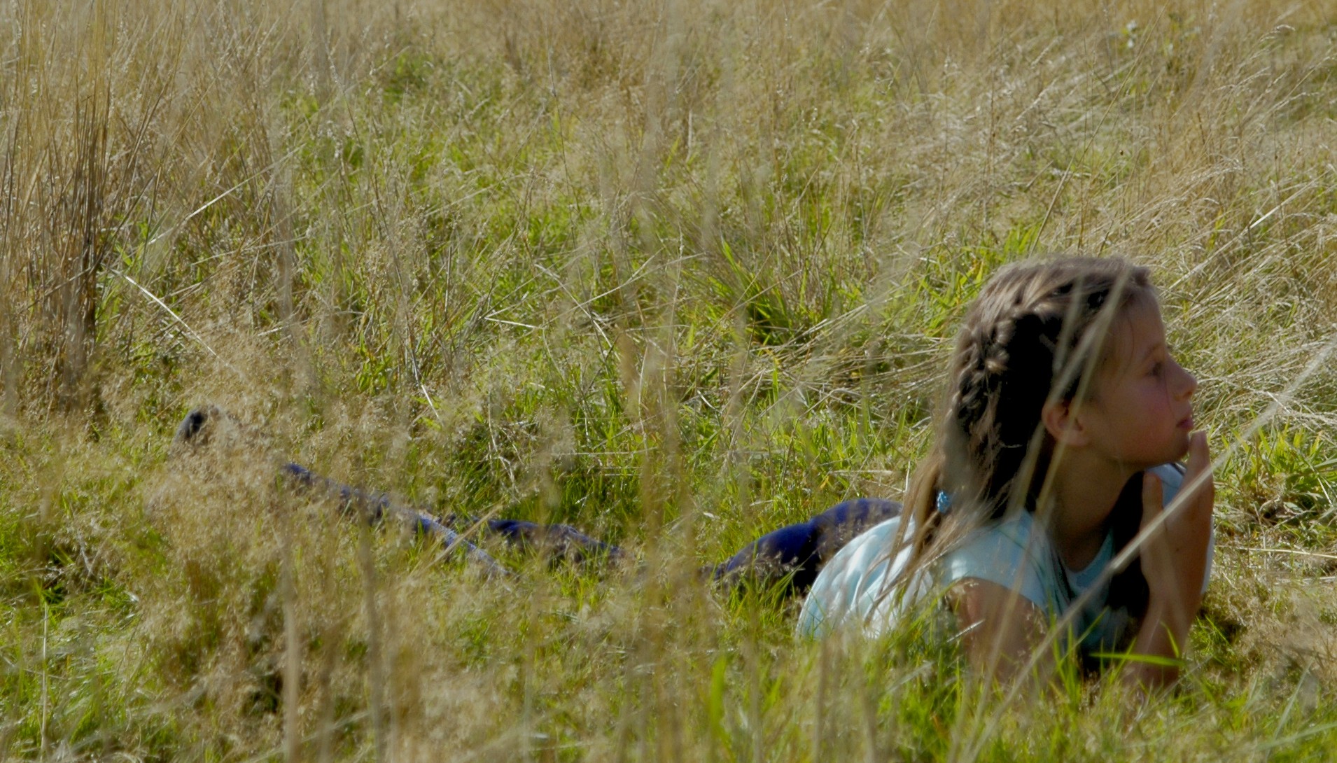 Trace | KATY PENDLEBURY